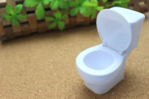 調味料の捨て方を一挙ご紹介！トイレに流すのはアリ？未開封のものは？ 簡単男飯レシピ・作り方 Gohan 3951
